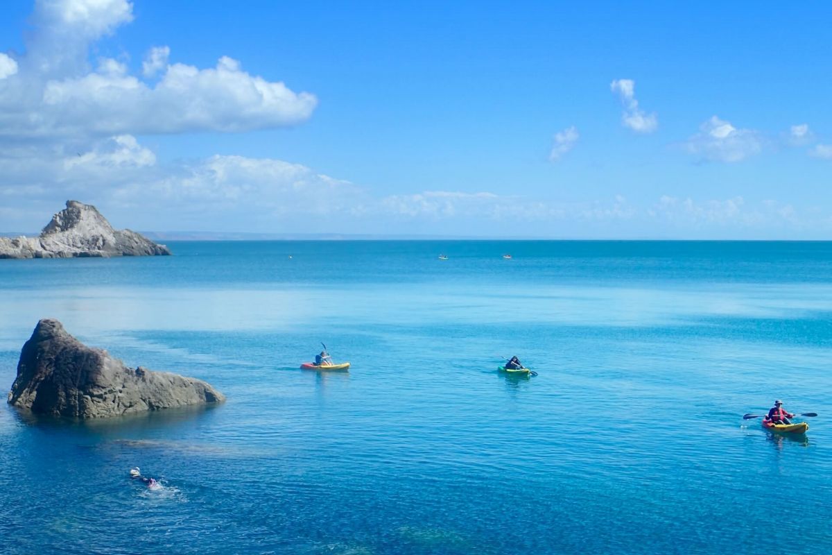 Torquay location of The Muntham Luxury Apartments & Town House